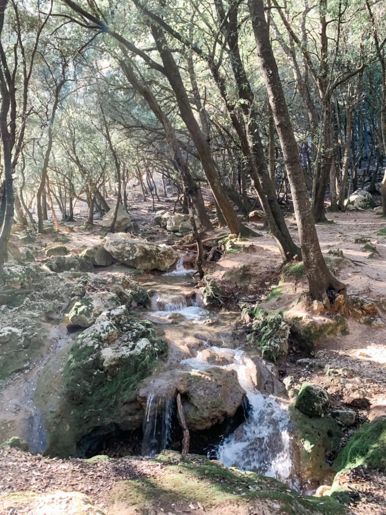 mallorca-im-herbst-2021-es-salt-des-freu-wasserfall - SLOW TRAVEL MALLORCA